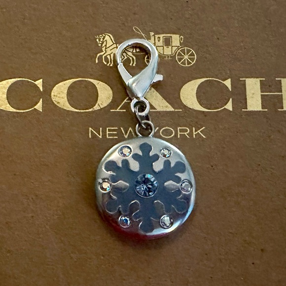 Coach | Accessories | Coach Large Silver Snowflake With Blue Clear ...
